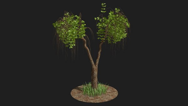modelo 3d Árbol de hadas 2 - TurboSquid 1779078