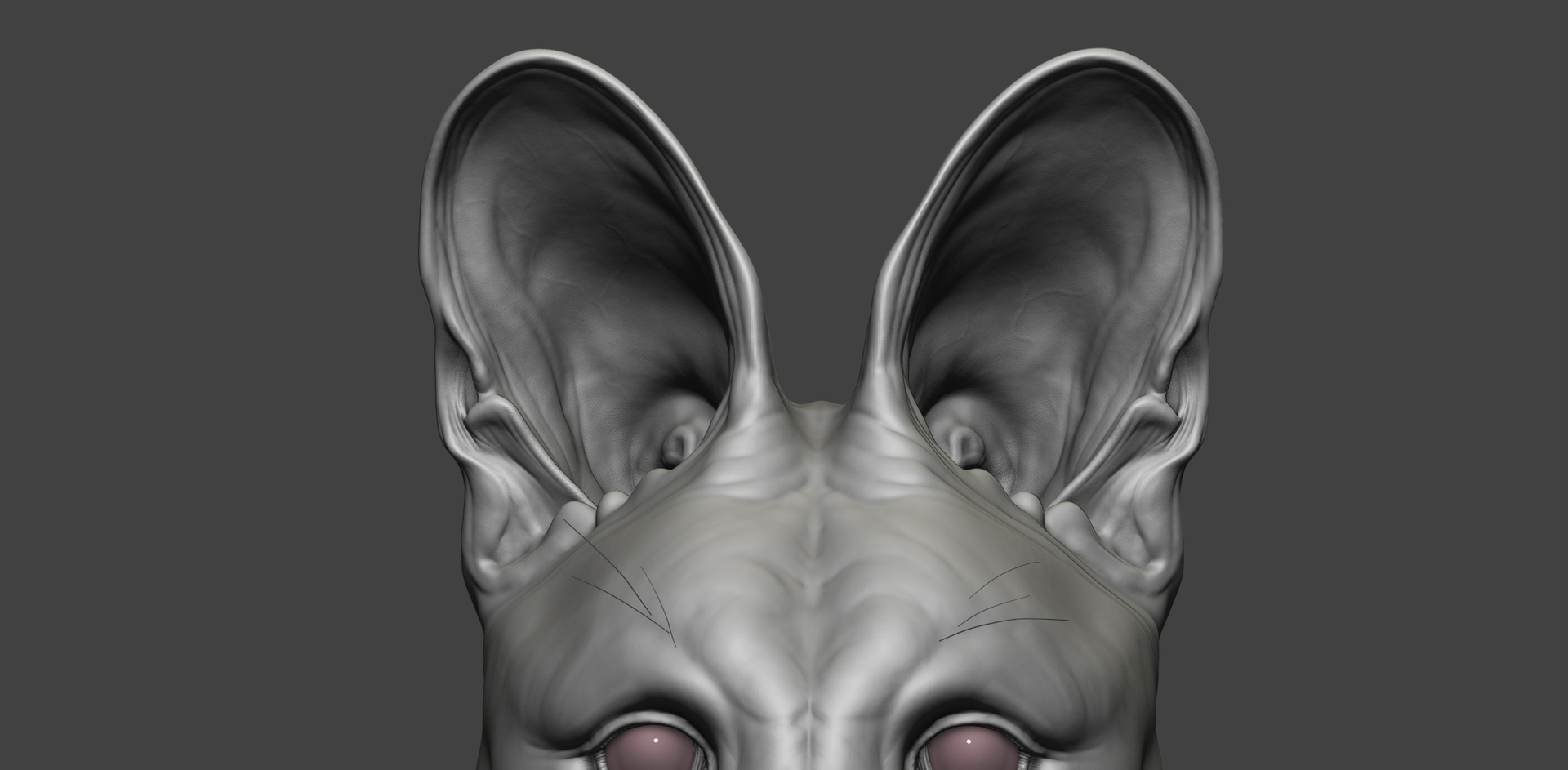 3D Fully Detailed Serval Cat Zbrush Sculpt - TurboSquid 1852586