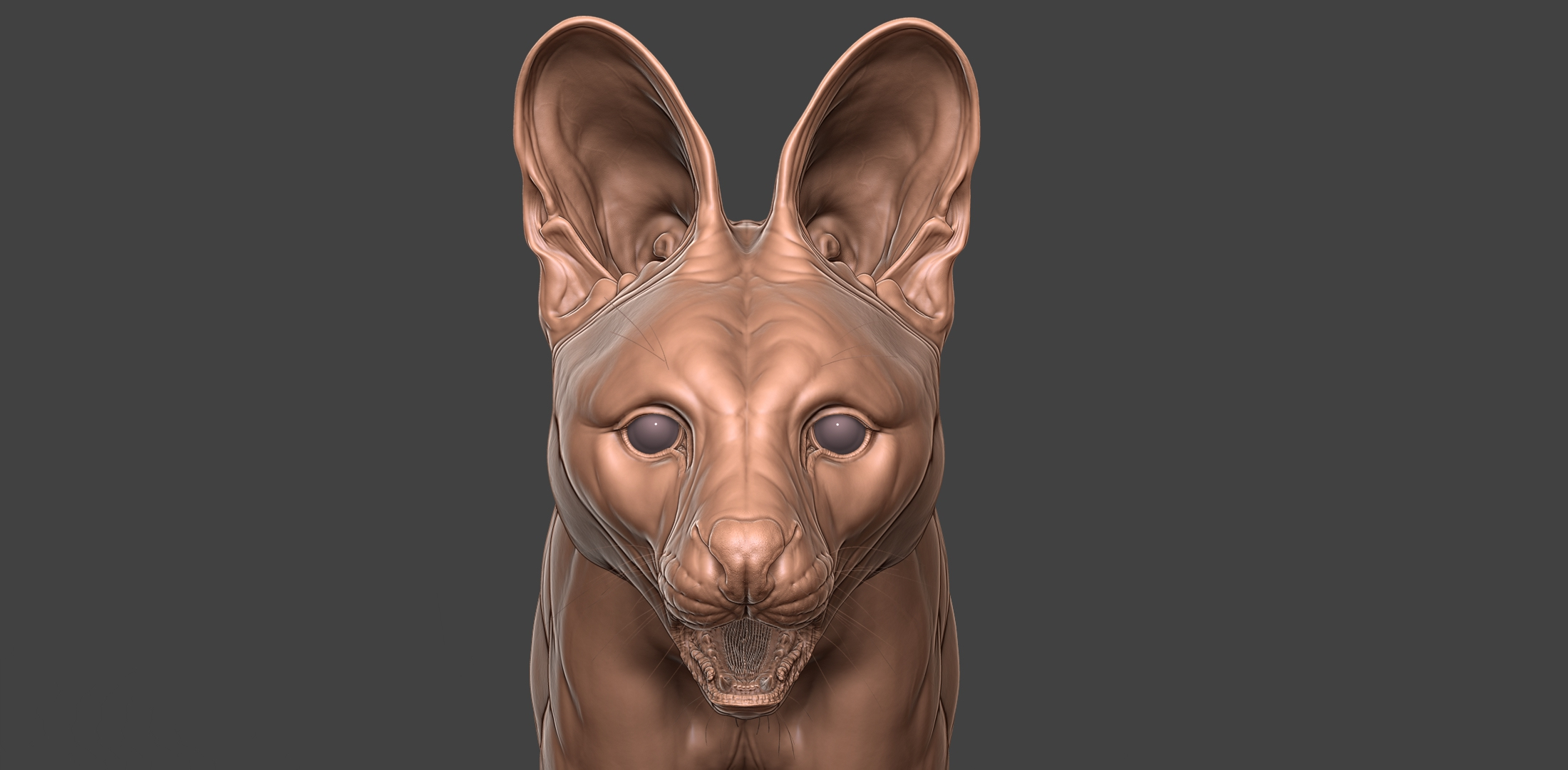3D Fully Detailed Serval Cat Zbrush Sculpt - TurboSquid 1852586