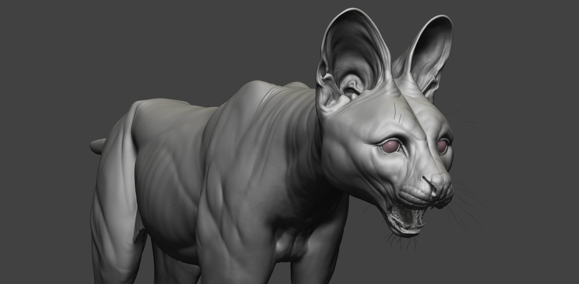 3D Fully Detailed Serval Cat Zbrush Sculpt - TurboSquid 1852586