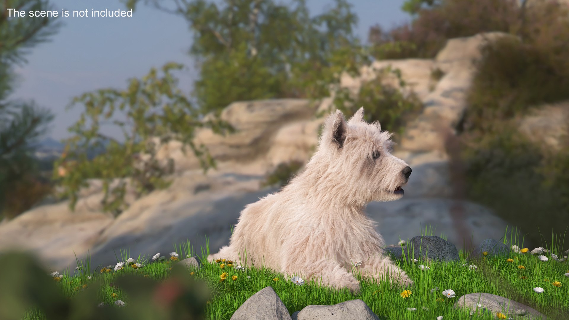 3D Mongrel Dog Cream Lying Down Pose Fur - TurboSquid 2413384