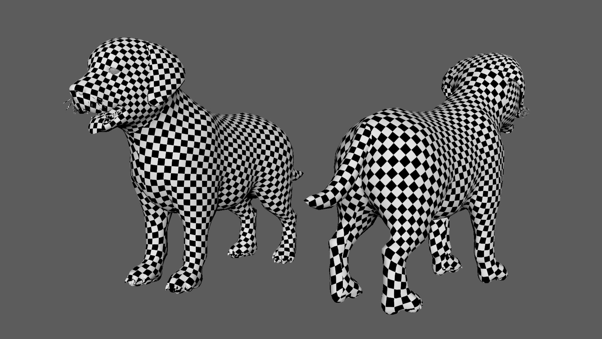 3D Baby Dog Model - TurboSquid 2238406