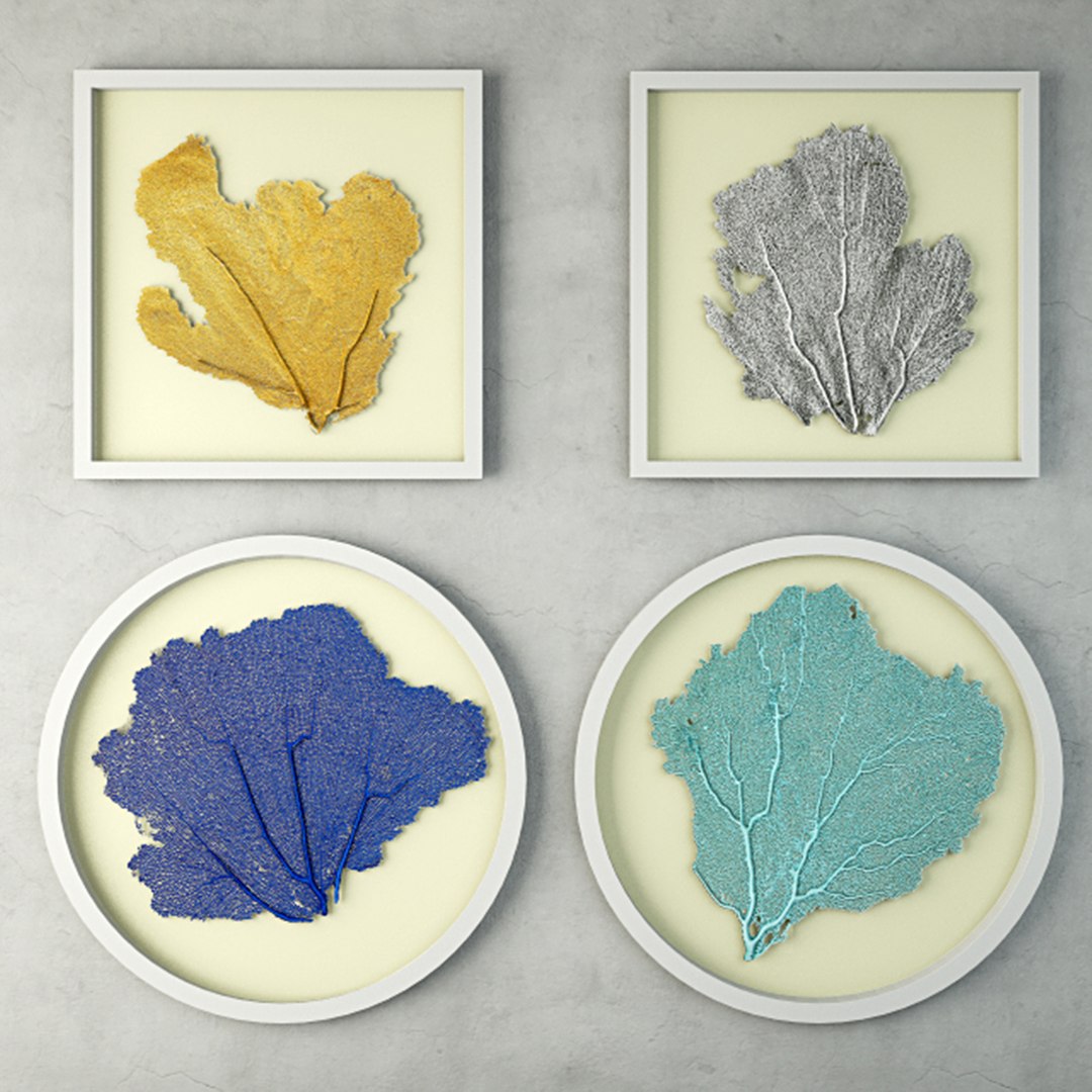 Sea Fans 3D Model - TurboSquid 1216759