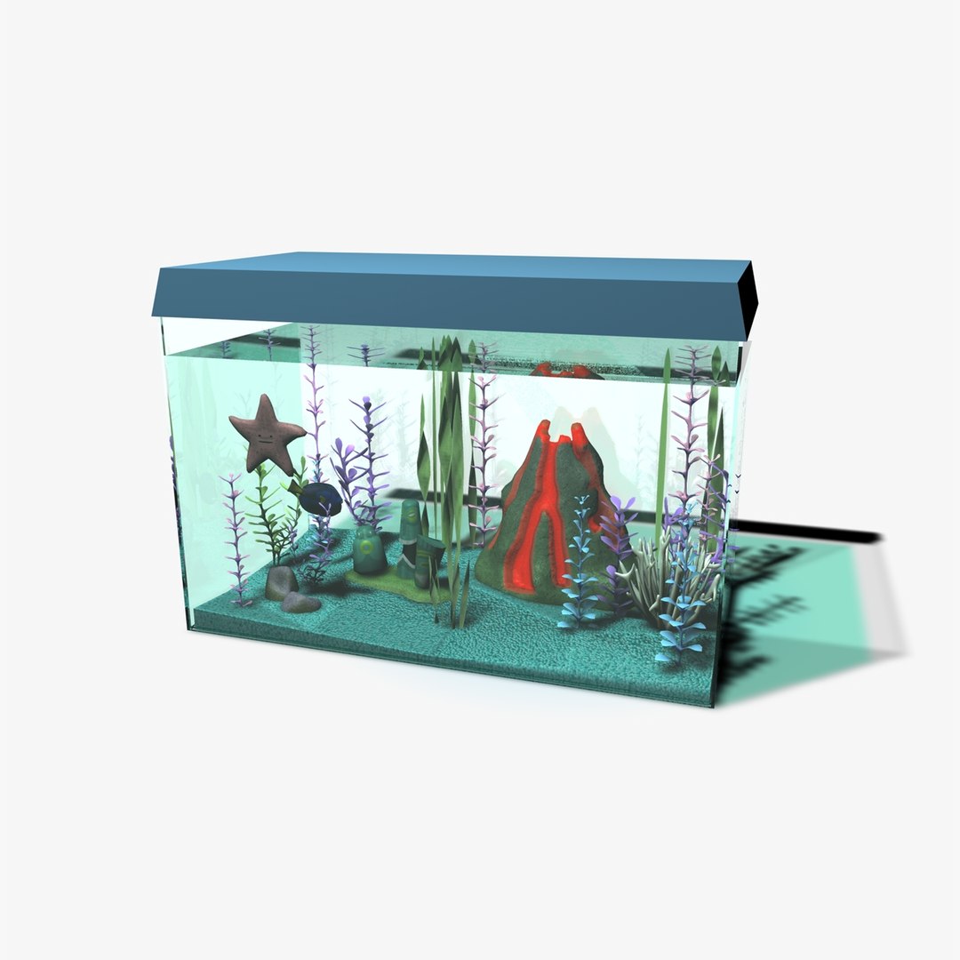 3d Fish Tank Model