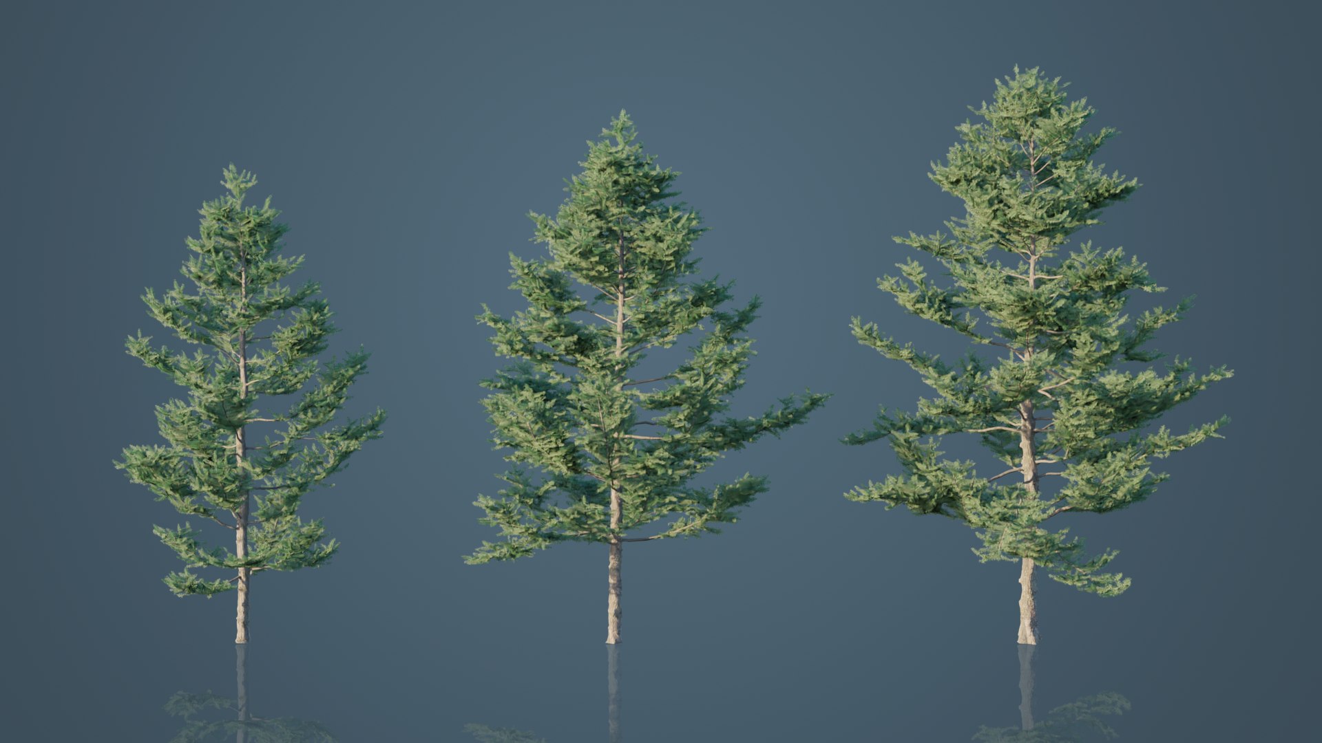 Japanese White Larch Trees 3D Model - TurboSquid 1765002