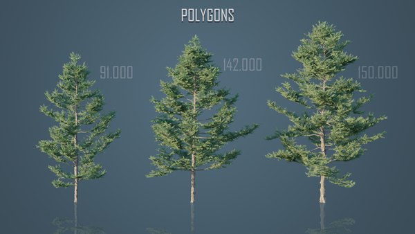 Japanese White Larch Trees 3D model - TurboSquid 1765002