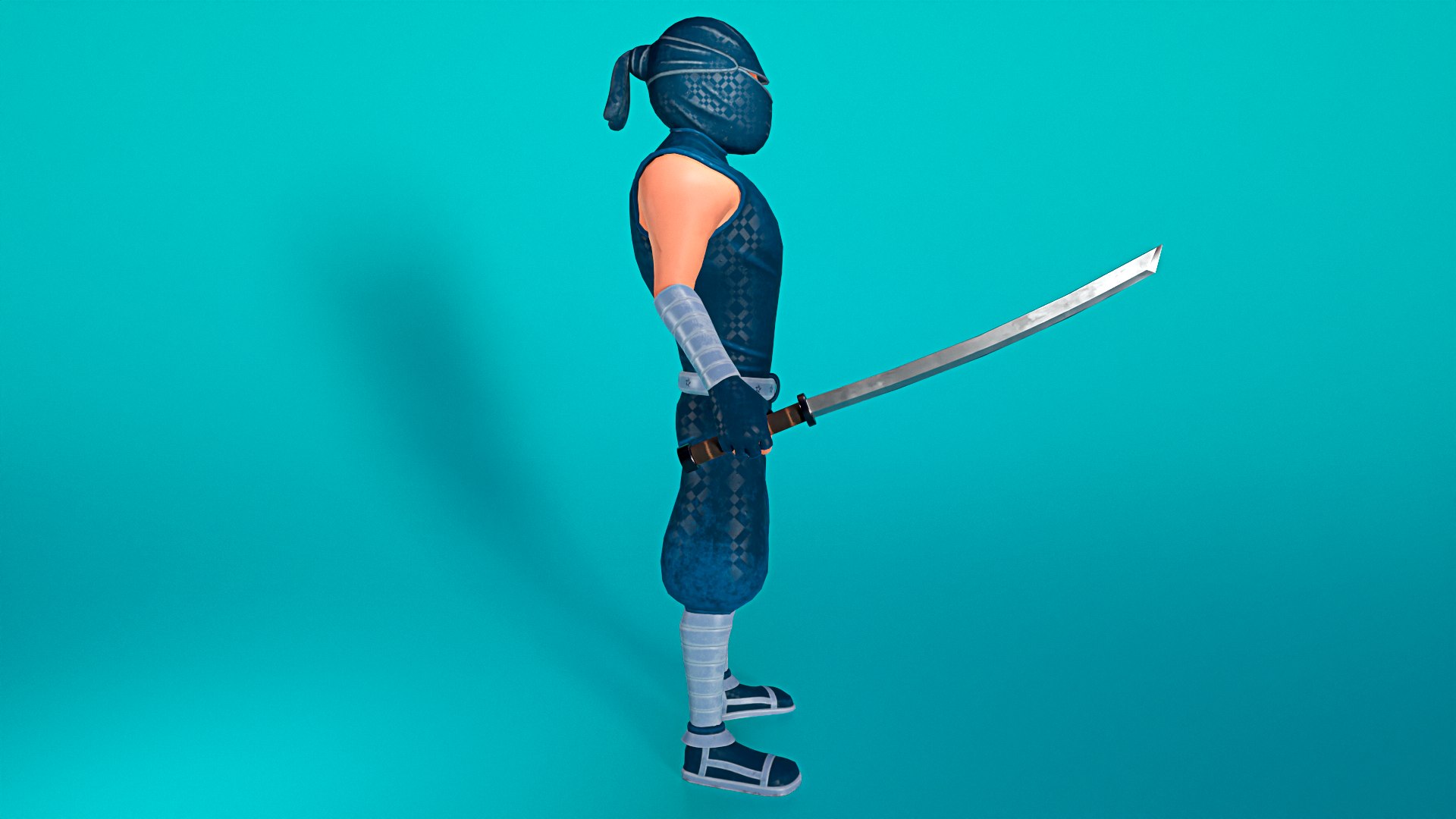 Ninja Ted 3D Model - TurboSquid 1774417