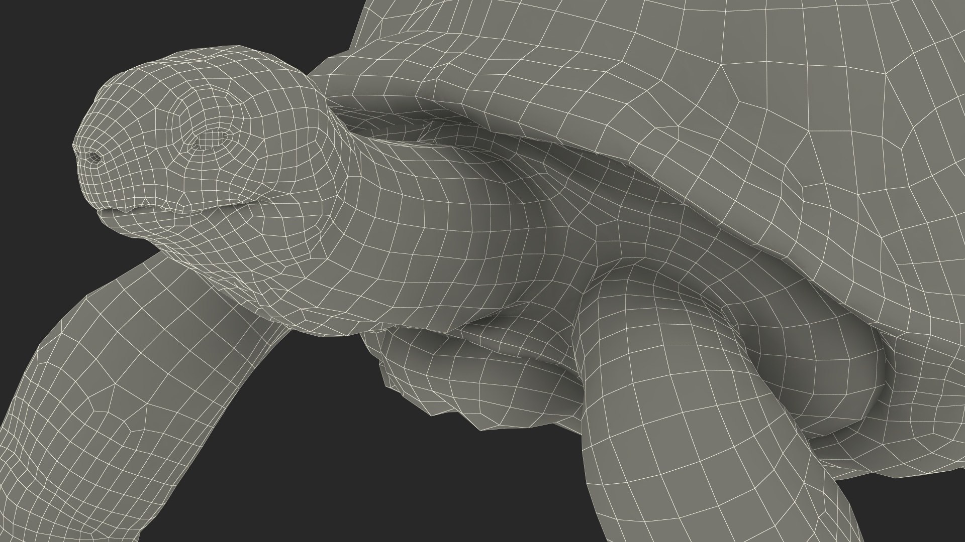 Giant Black Tortoise Walk Pose 3D - TurboSquid 2112845