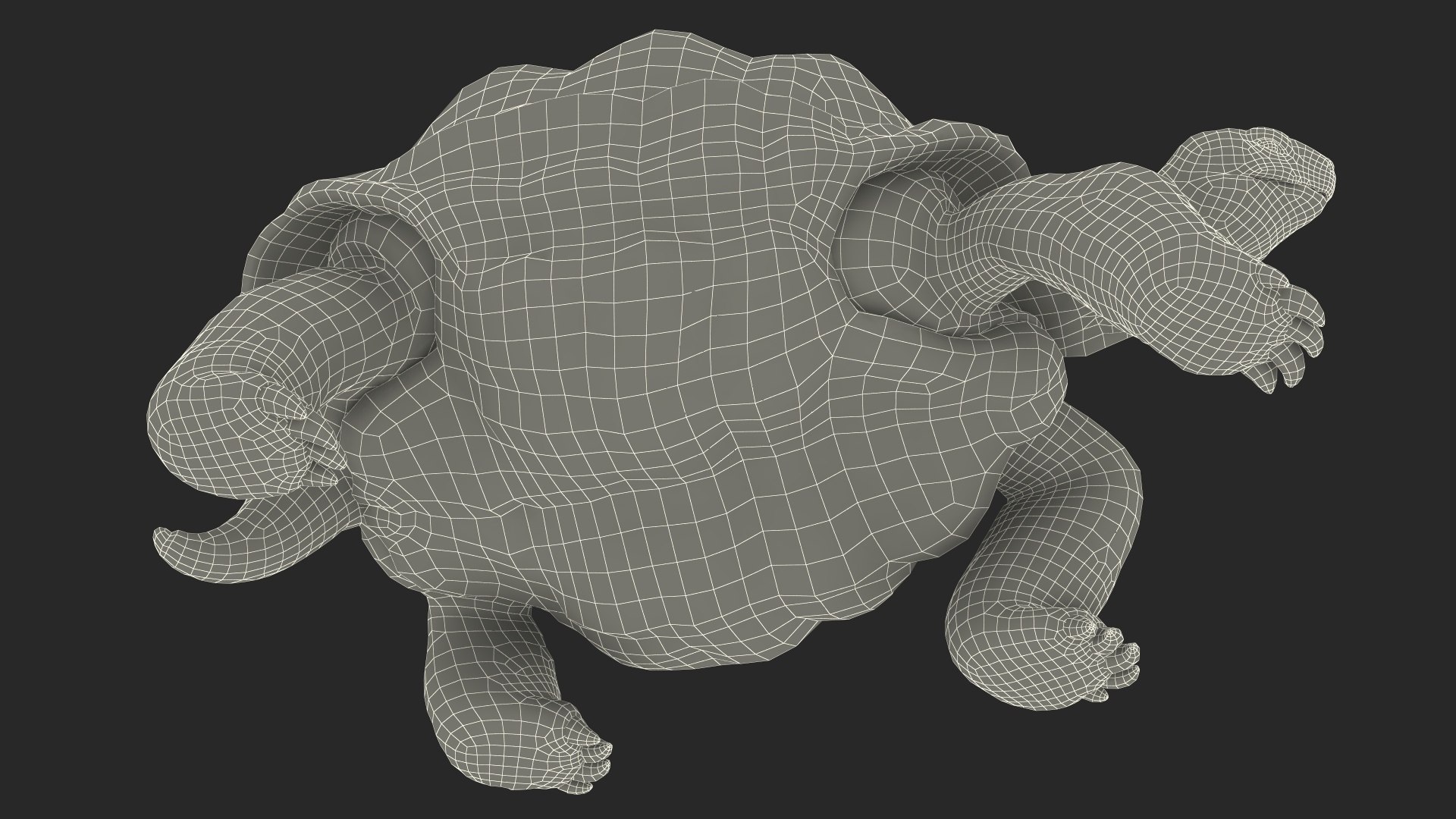 Giant Black Tortoise Walk Pose 3D - TurboSquid 2112845