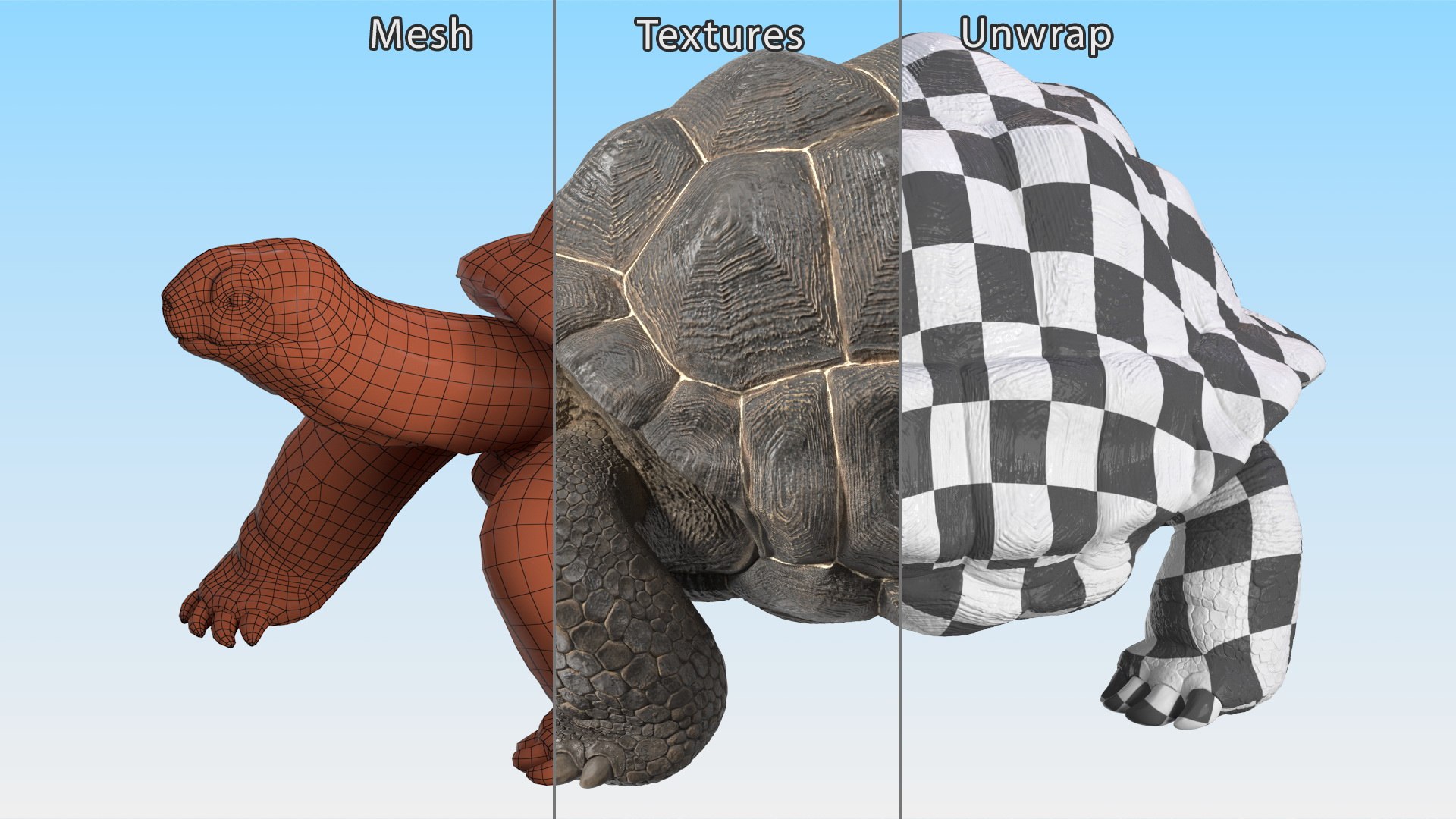 Giant Black Tortoise Walk Pose 3D - TurboSquid 2112845