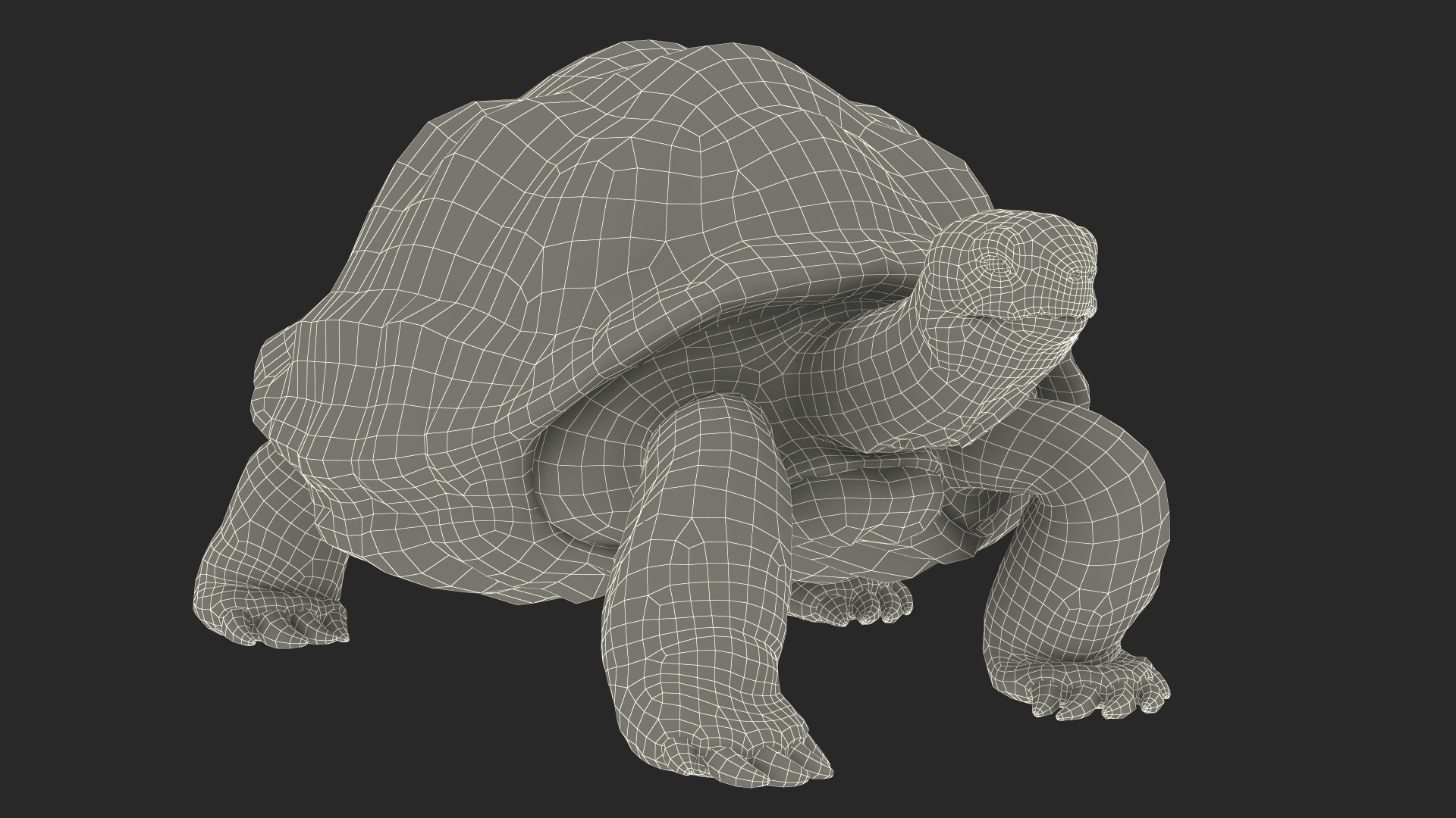 Giant Black Tortoise Walk Pose 3D - TurboSquid 2112845