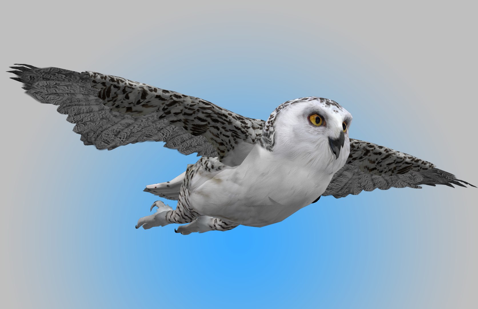 Snowy White Owl Animated 3D - TurboSquid 2203436