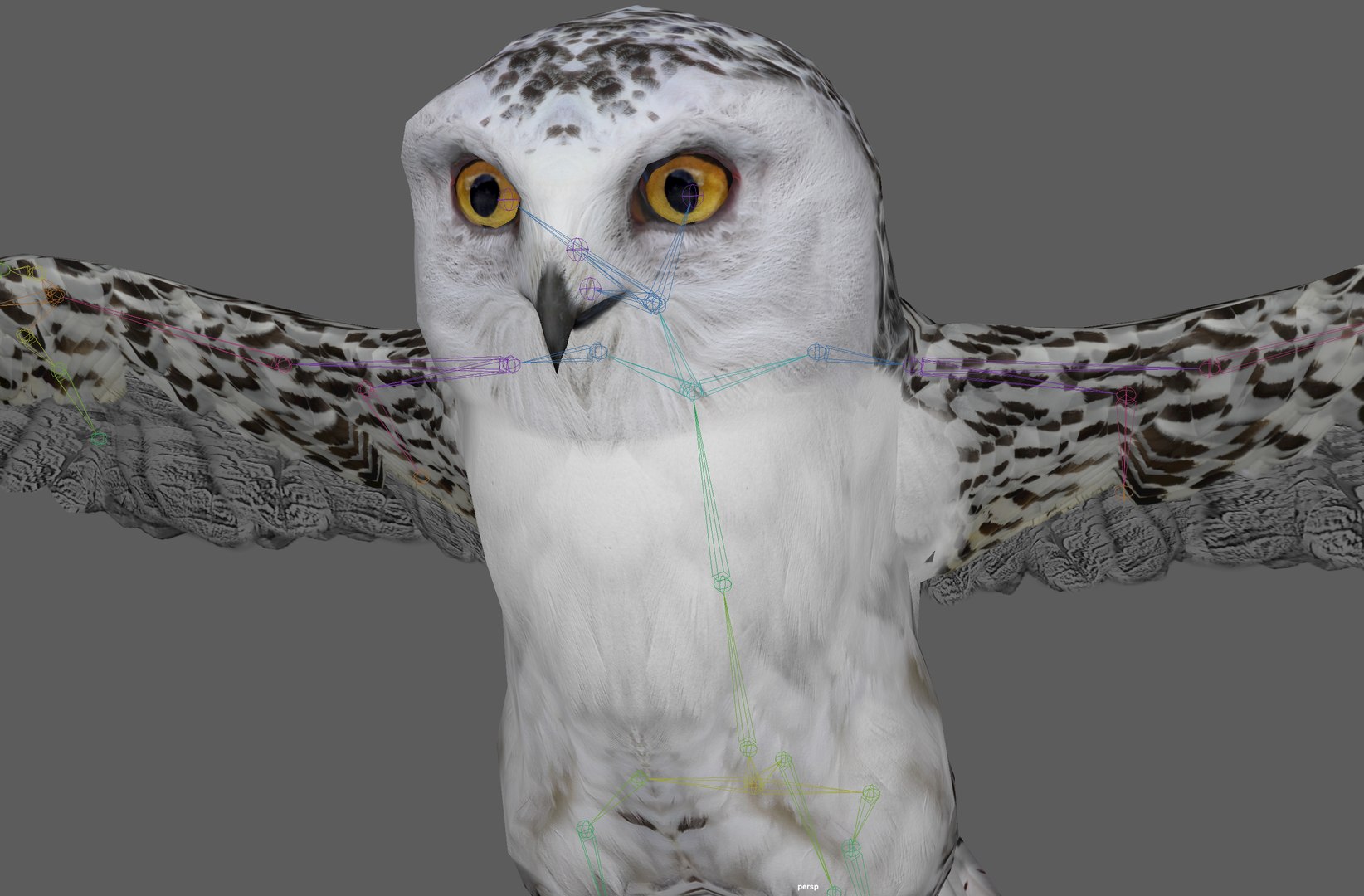 Snowy White Owl Animated 3D - TurboSquid 2203436