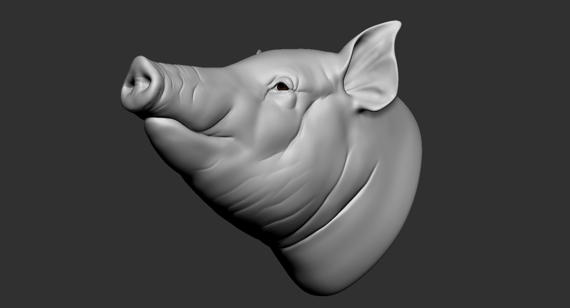 Pig head animal 2020 3D model - TurboSquid 1534508