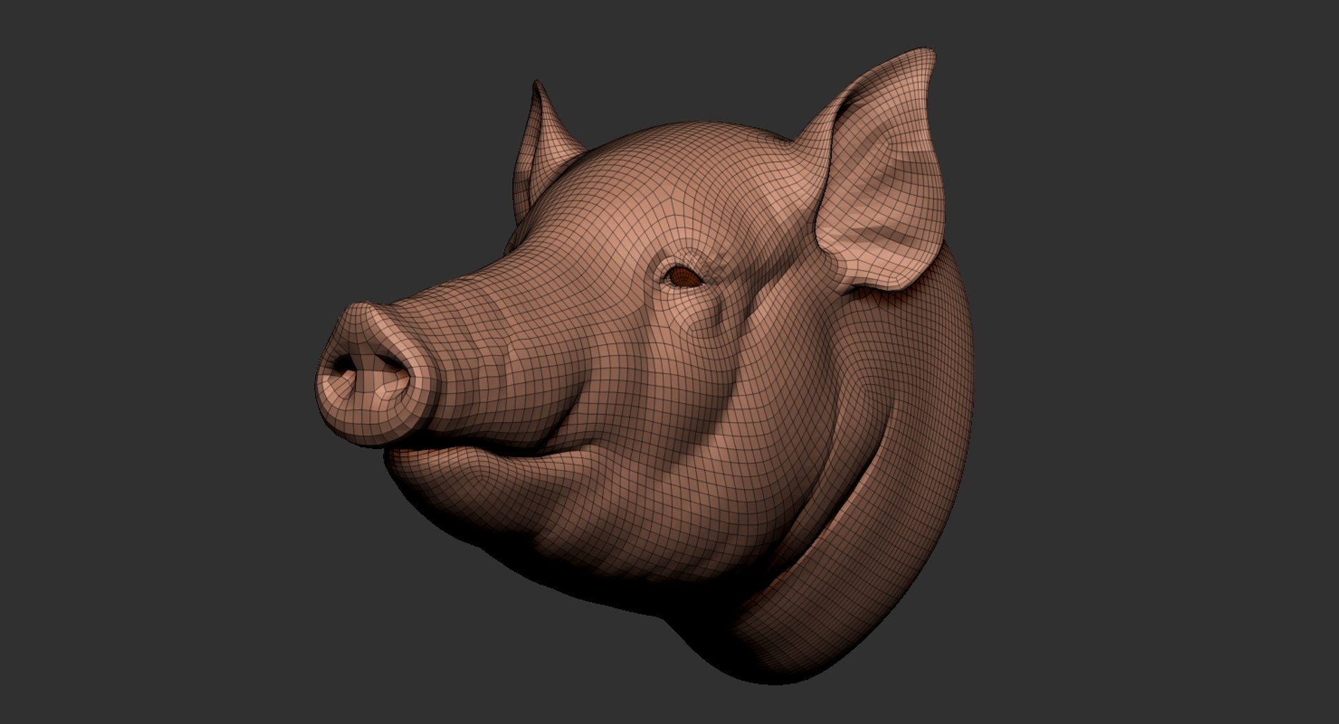 Pig head animal 2020 3D model - TurboSquid 1534508