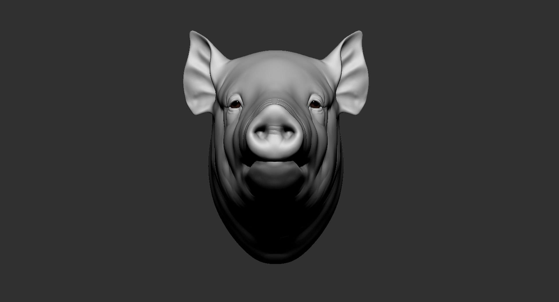 Pig head animal 2020 3D model - TurboSquid 1534508