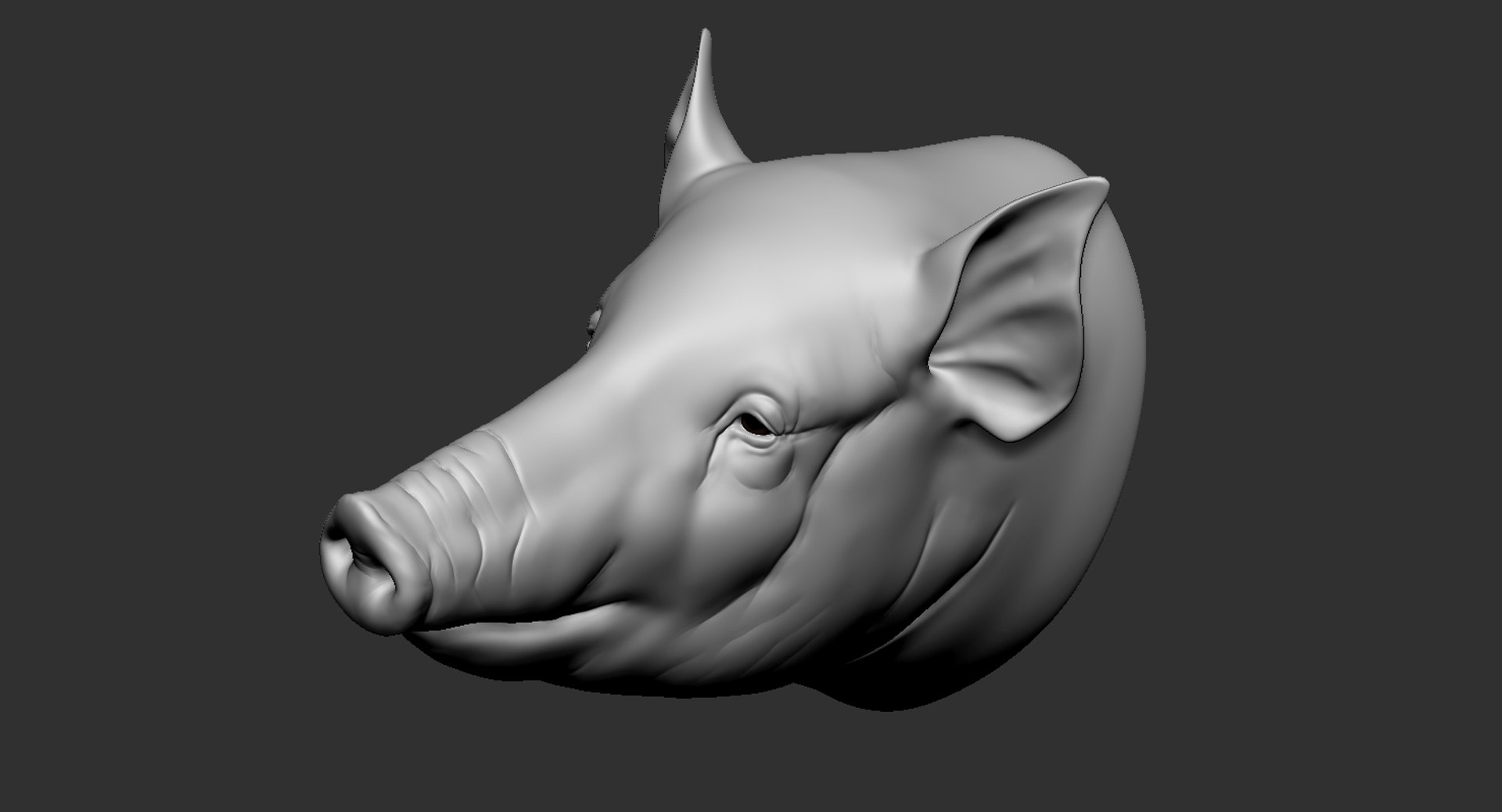 Pig head animal 2020 3D model - TurboSquid 1534508