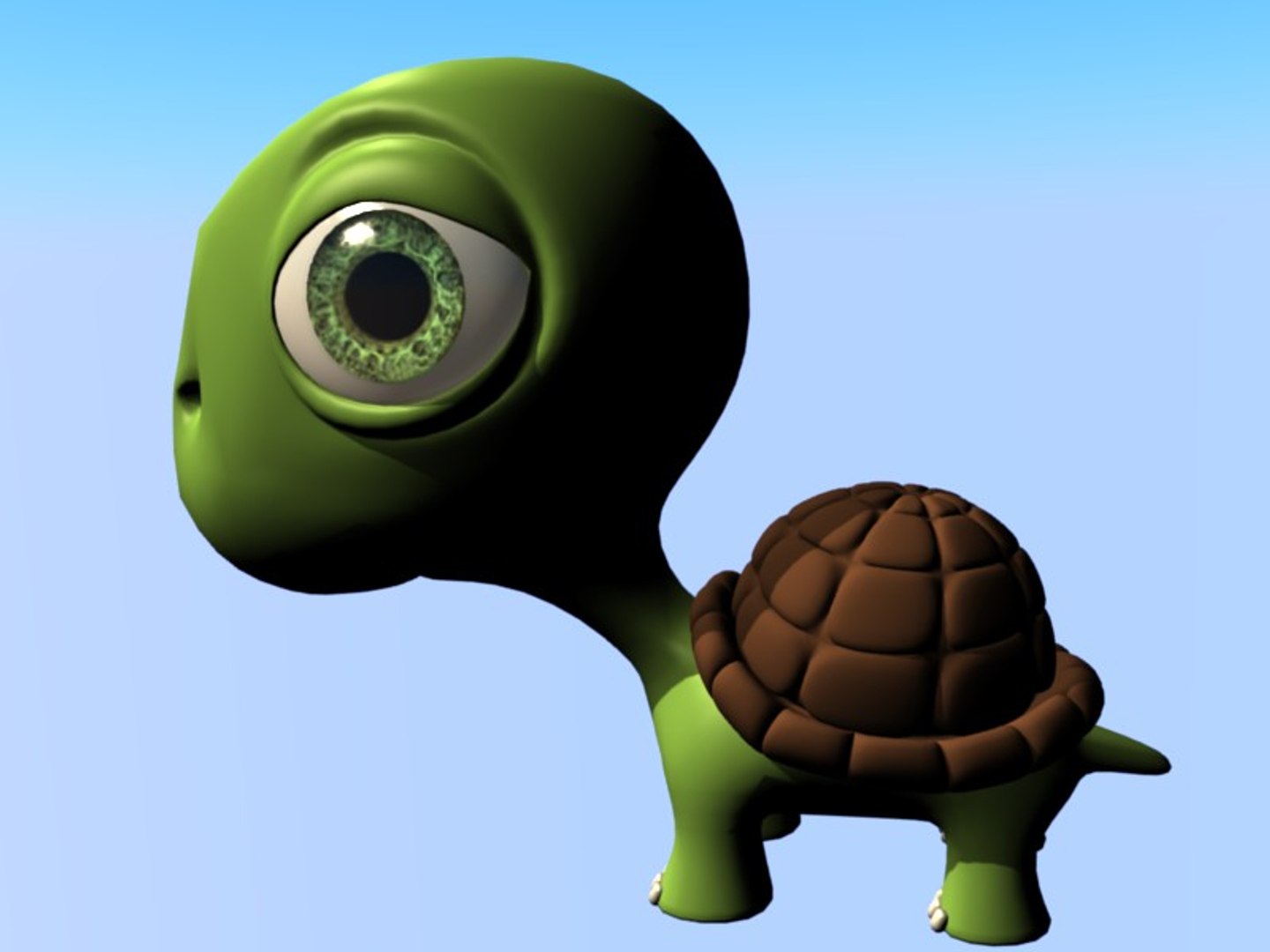 Cute Turtle 3d Model