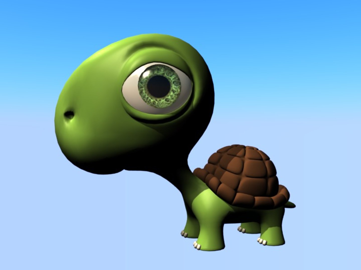 Cute Turtle 3d Model