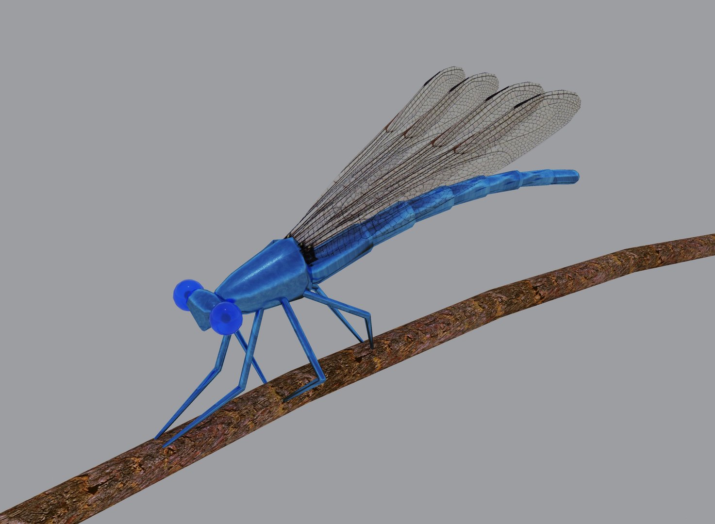 Dragon Dragonfly Fly 3d Max