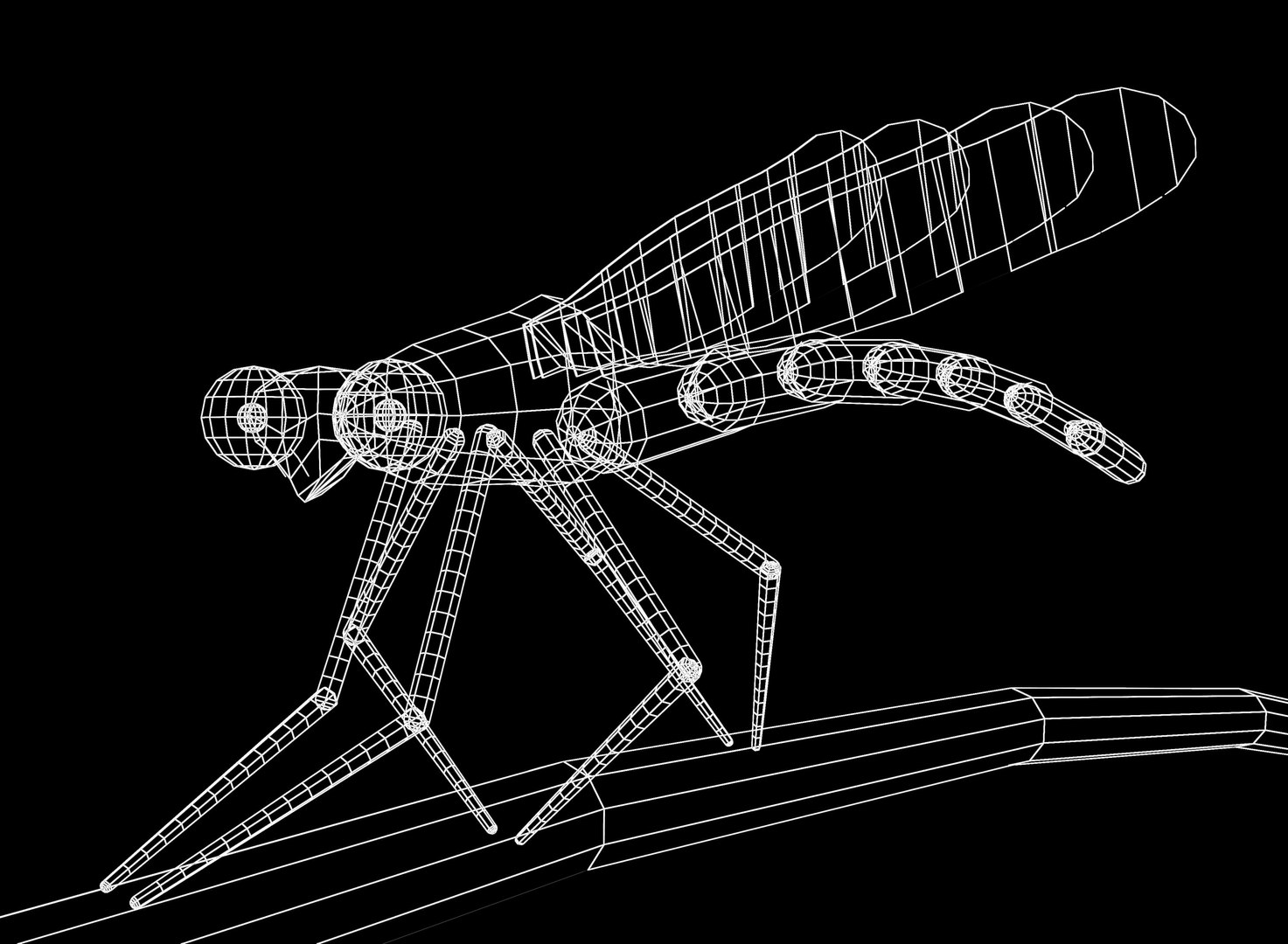 Dragon Dragonfly Fly 3d Max