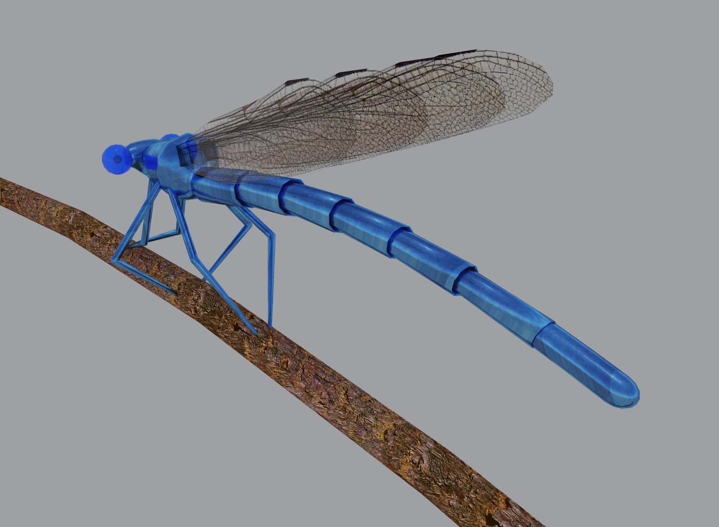 Dragon Dragonfly Fly 3d Max
