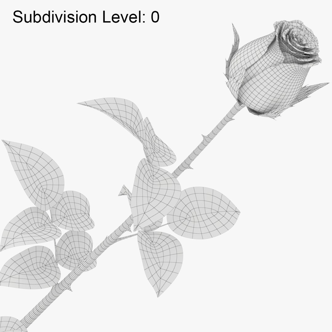 Rose Closed 3D Model - TurboSquid 1248407