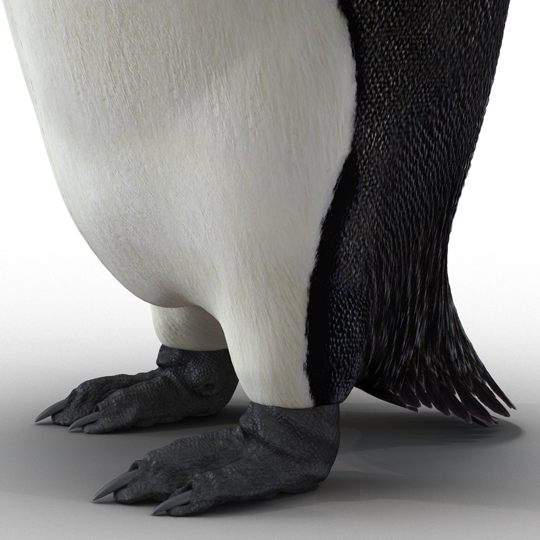 emperor penguin pose 3 3d max