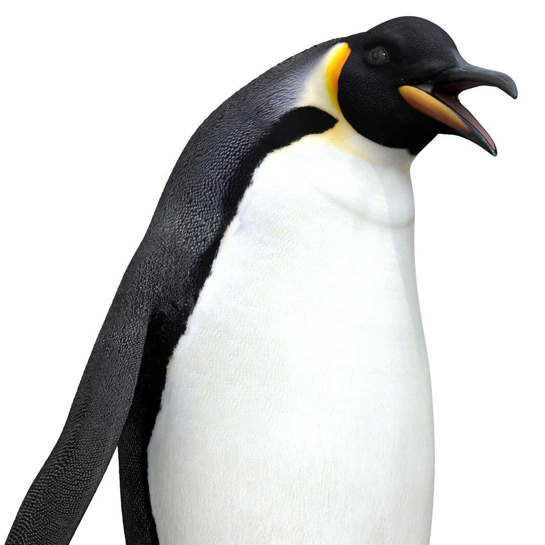 emperor penguin pose 3 3d max
