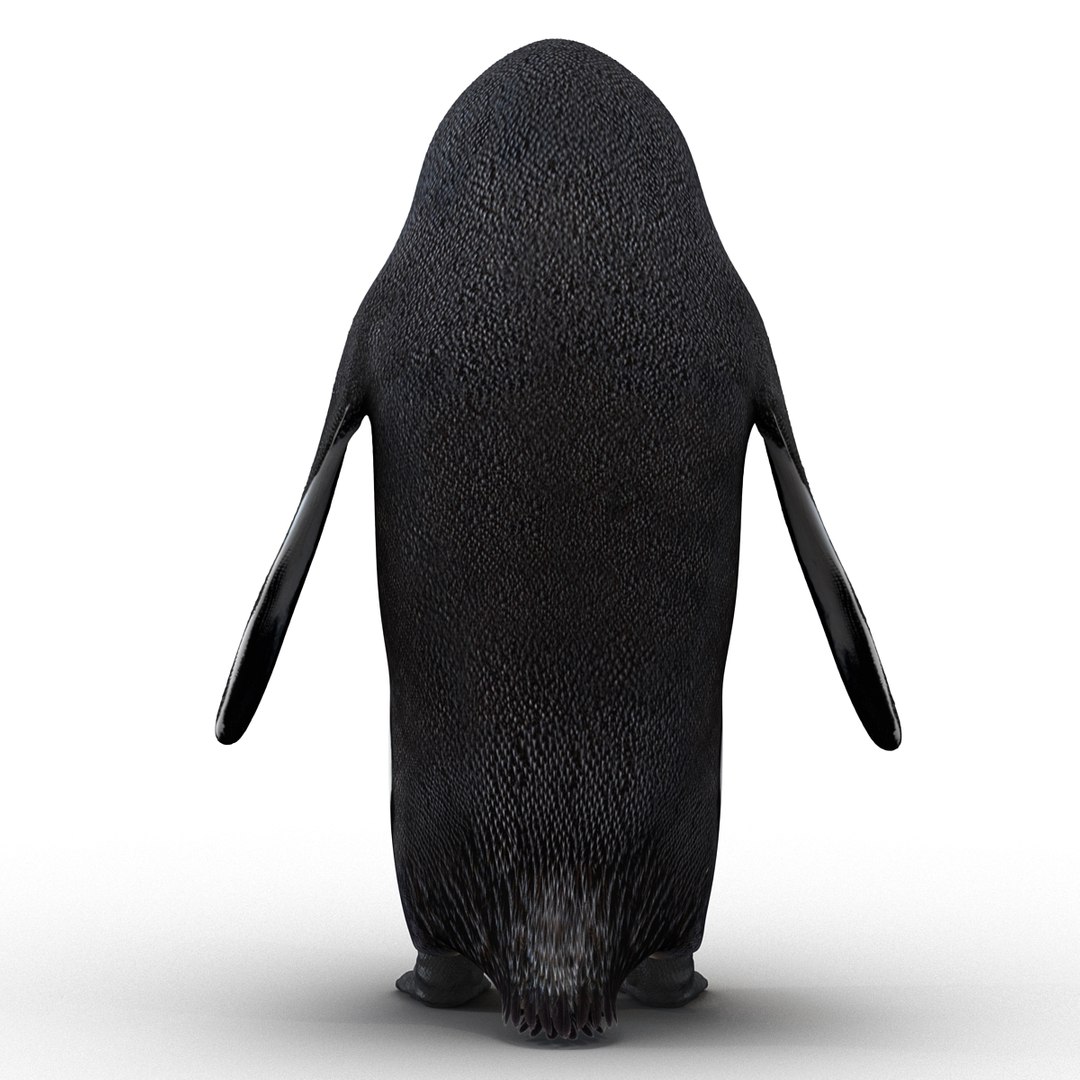 emperor penguin pose 3 3d max