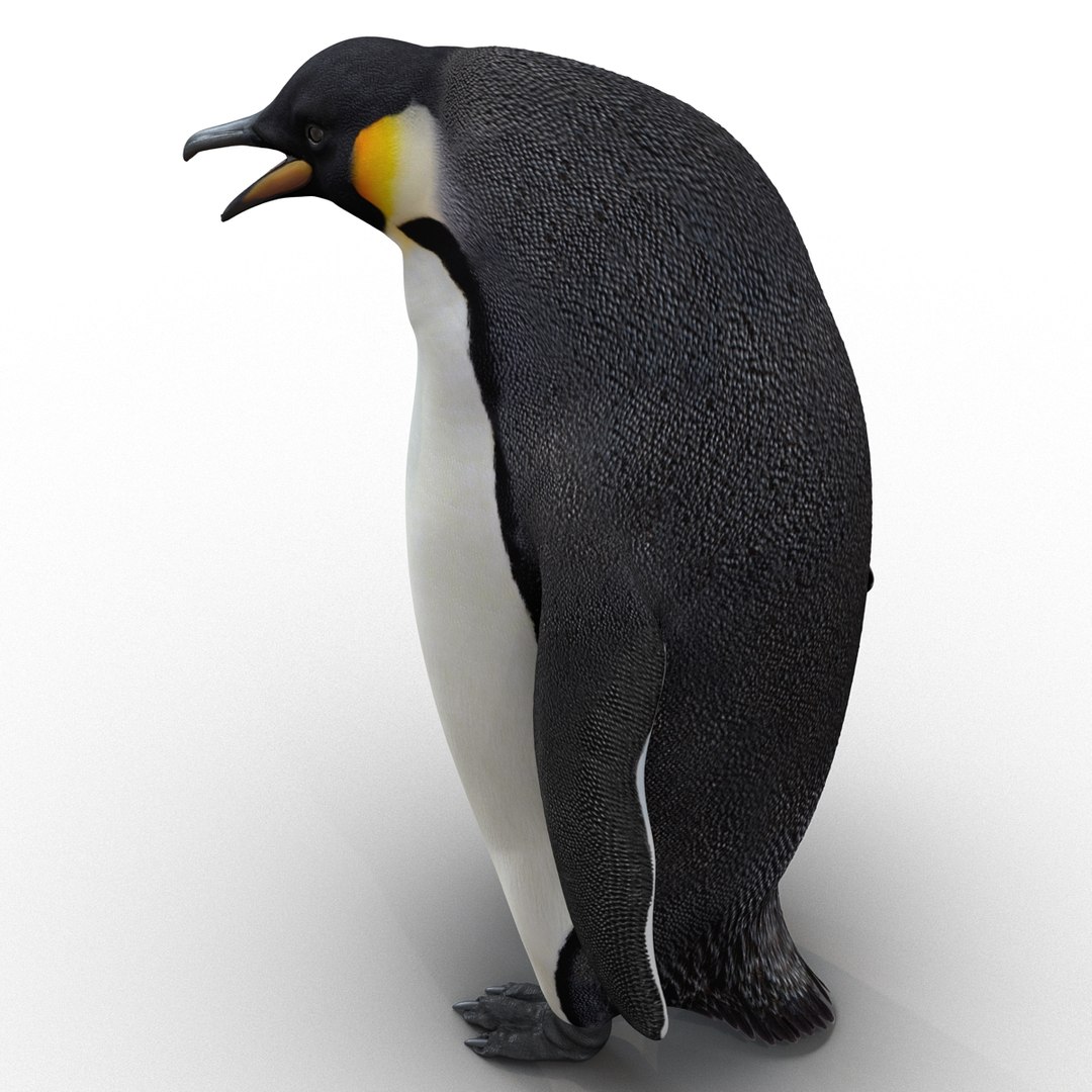 emperor penguin pose 3 3d max