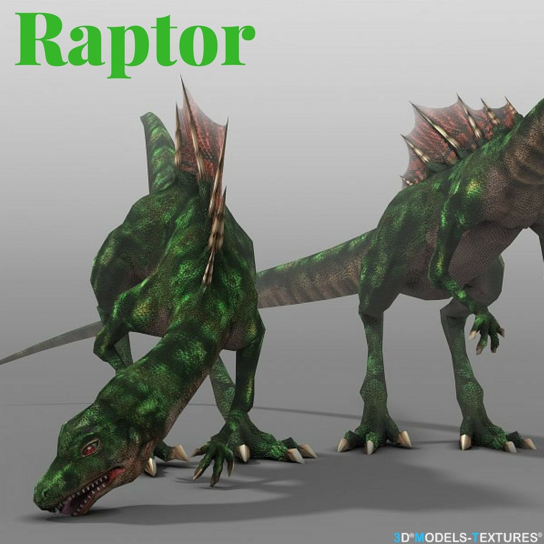 Raptor 3D Model - TurboSquid 1211946