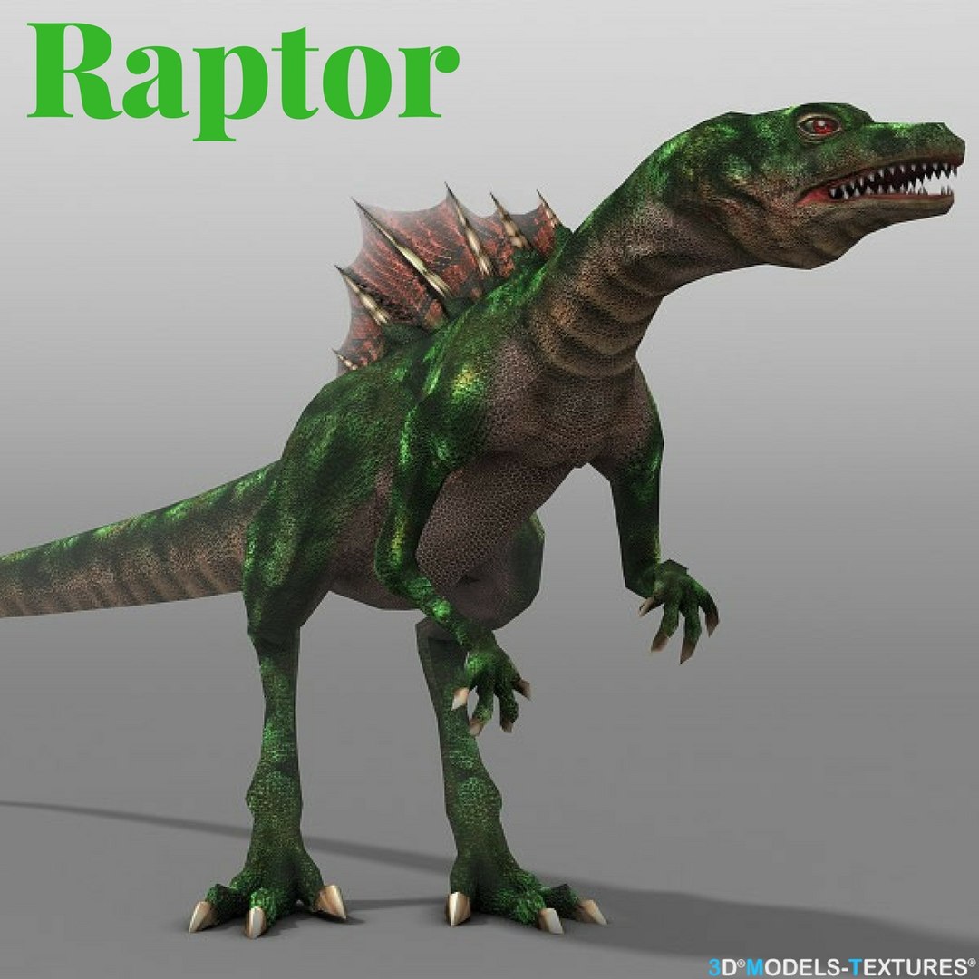 Raptor 3D Model - TurboSquid 1211946