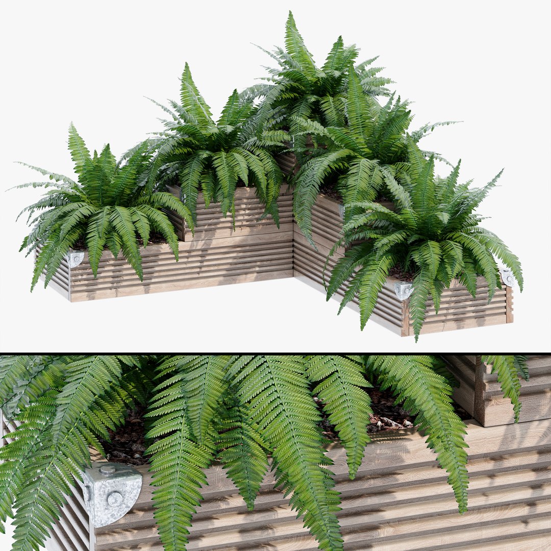 3D Corner Tiered - TurboSquid 1932244