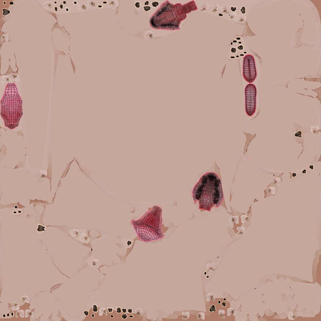 3D Realistic Cat Mouth Model - TurboSquid 1437282