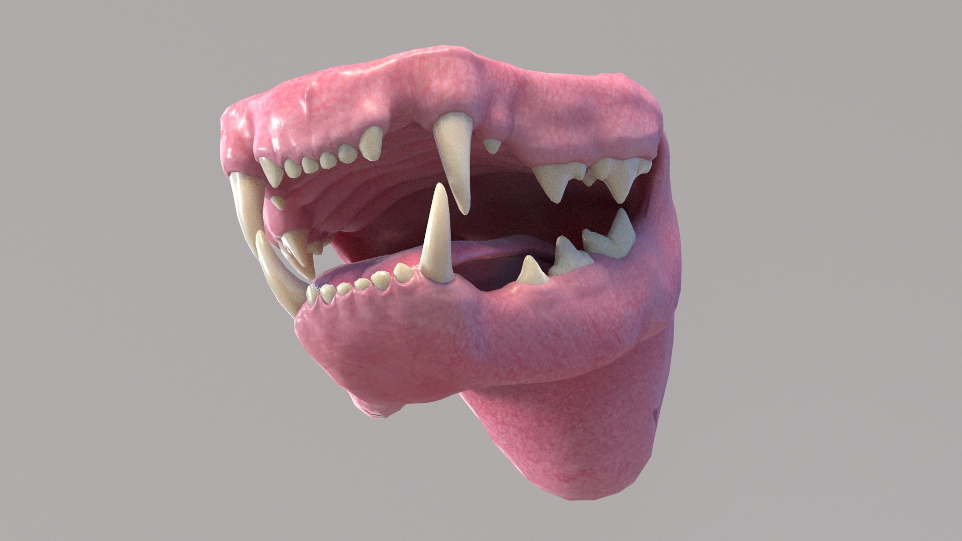 3D Realistic Cat Mouth Model - TurboSquid 1437282
