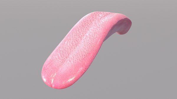 3D realistic cat mouth model - TurboSquid 1437282