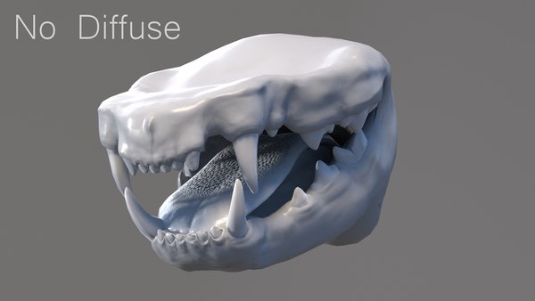 3D realistic cat mouth model - TurboSquid 1437282
