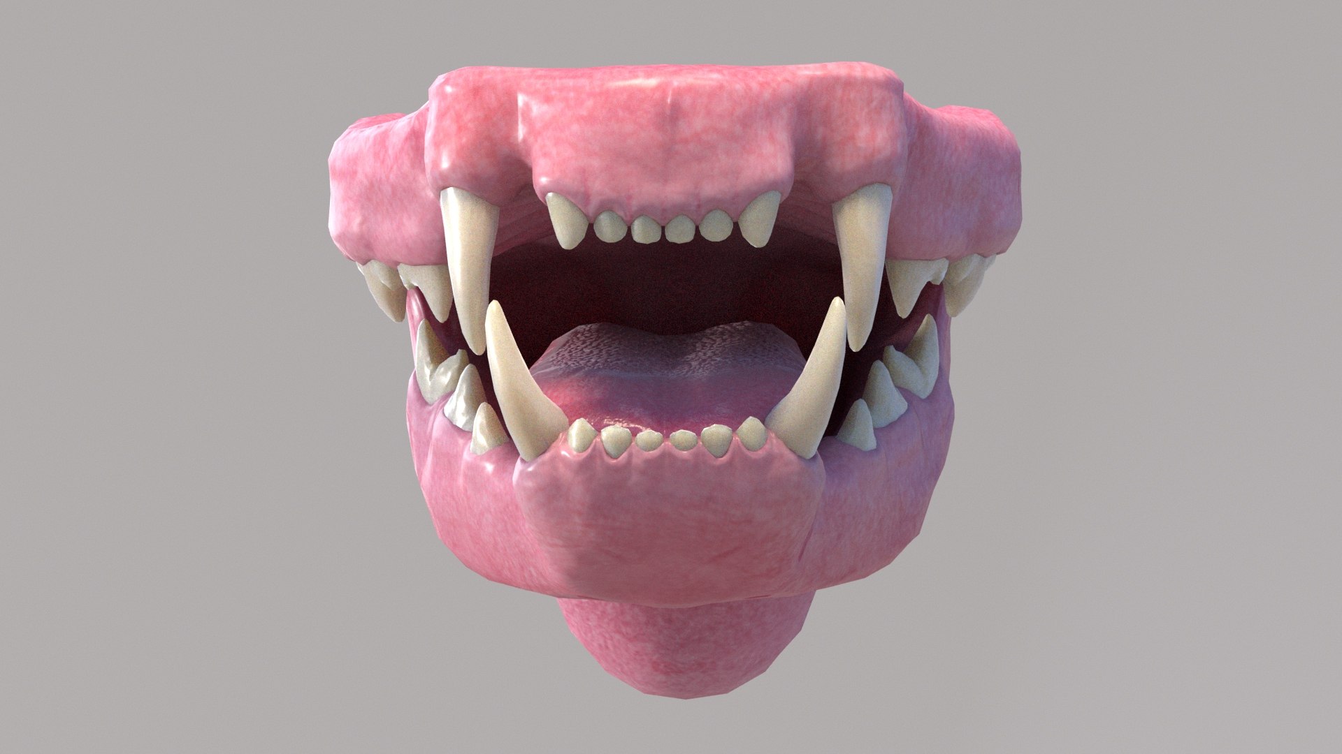 3D Realistic Cat Mouth Model - TurboSquid 1437282