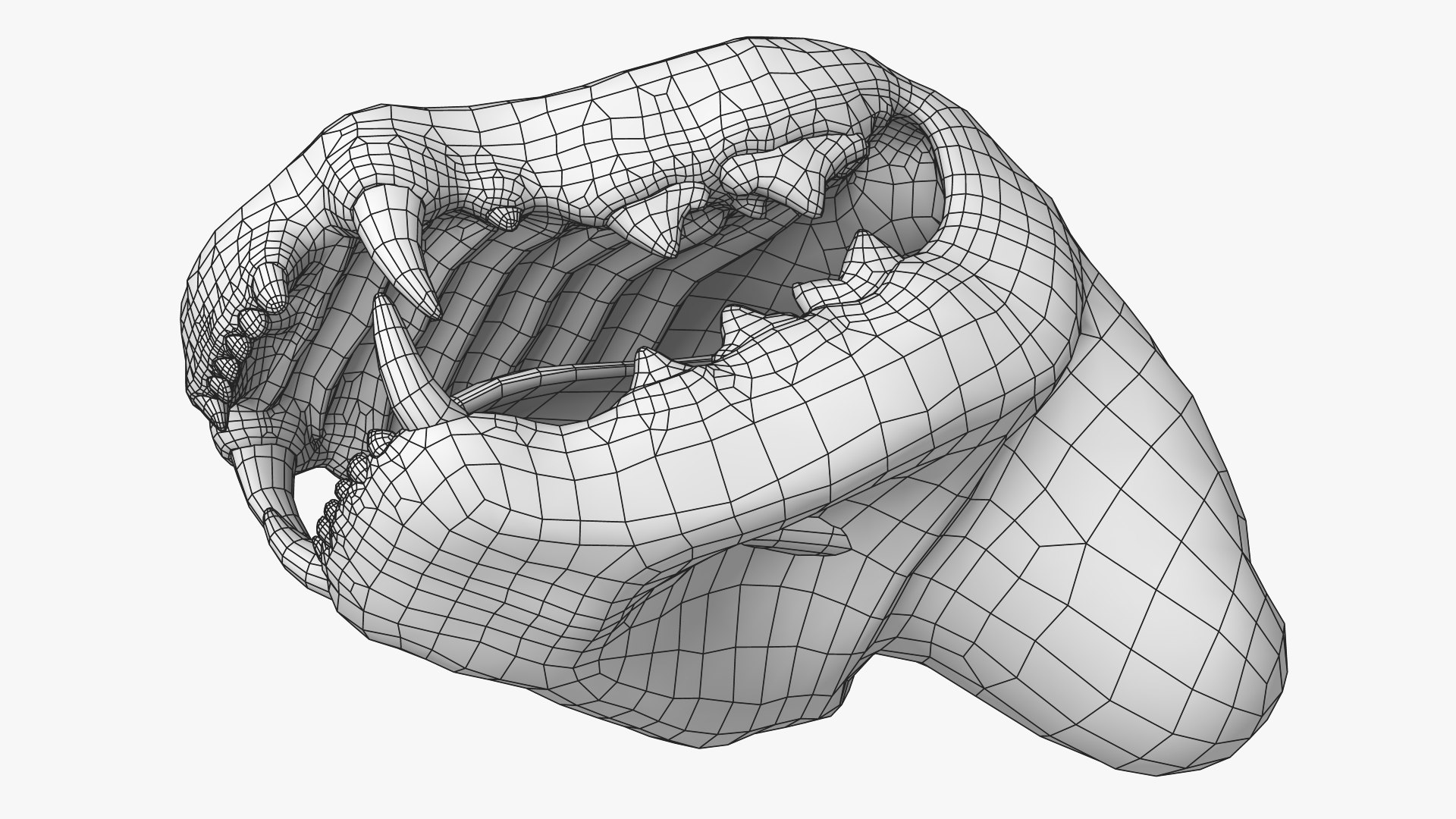 3D Realistic Cat Mouth Model - TurboSquid 1437282