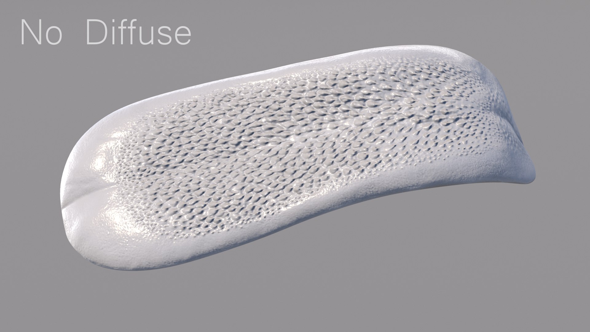 3D Realistic Cat Mouth Model - TurboSquid 1437282