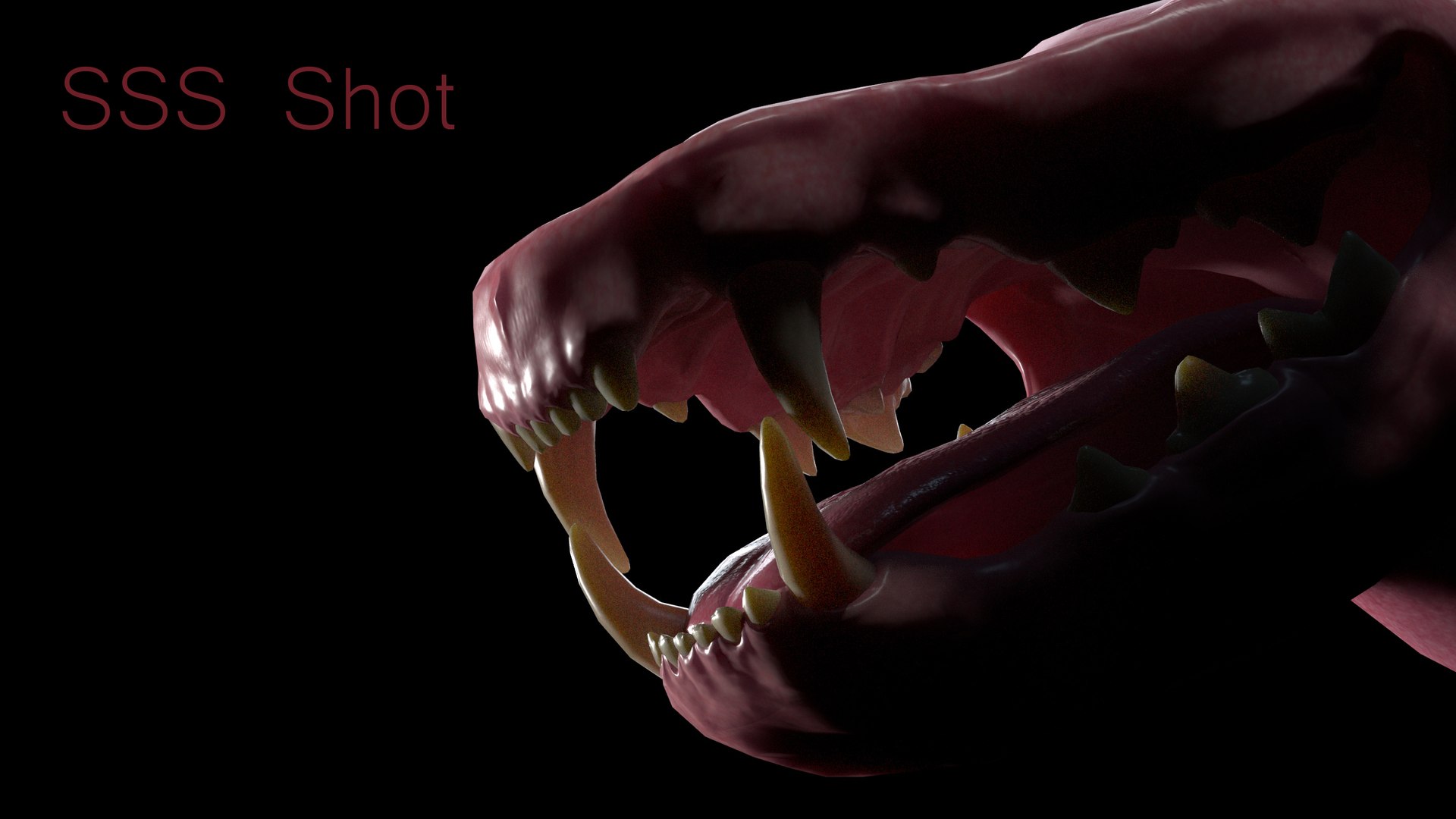 3D Realistic Cat Mouth Model - TurboSquid 1437282
