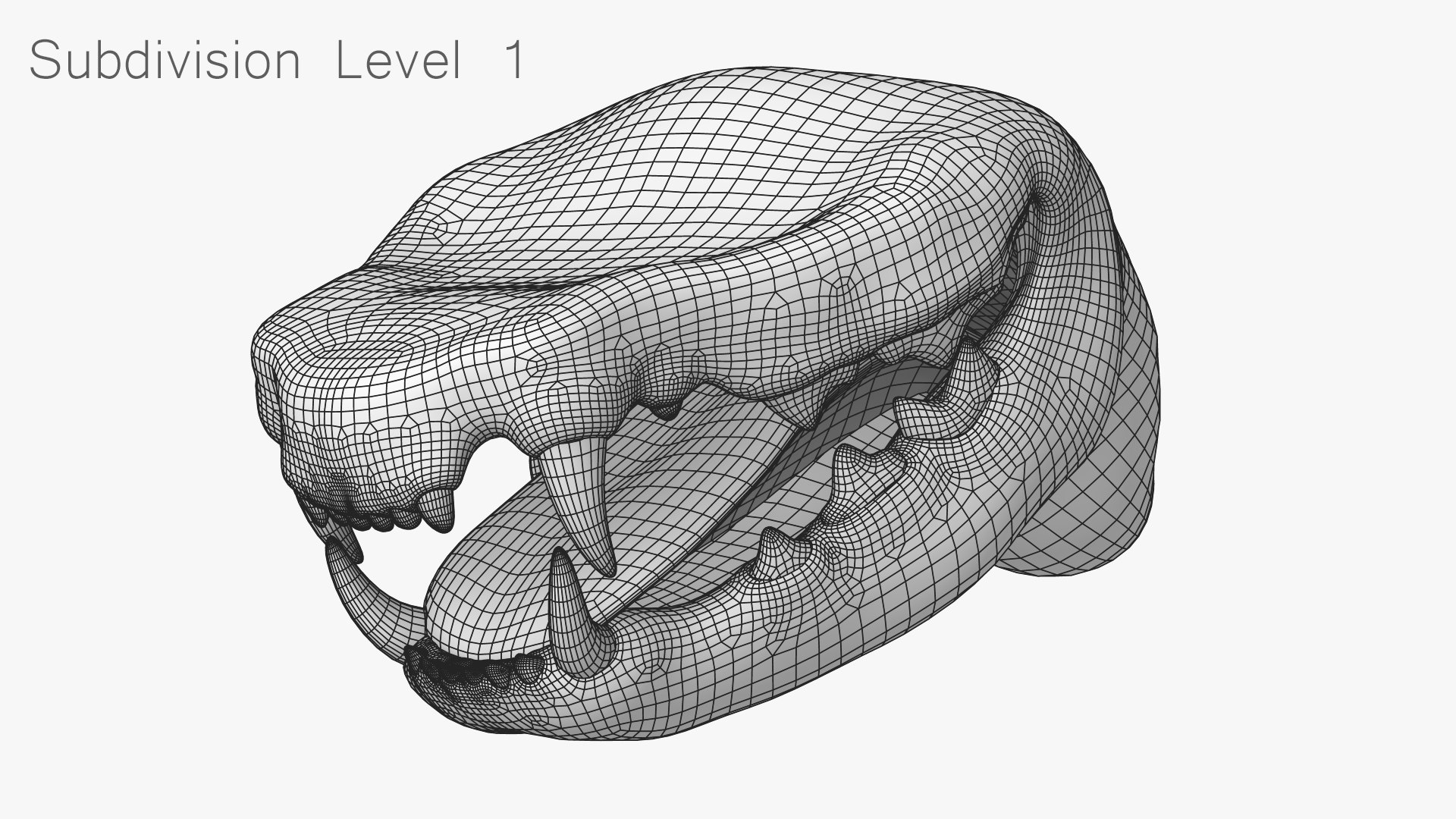 3D Realistic Cat Mouth Model - TurboSquid 1437282