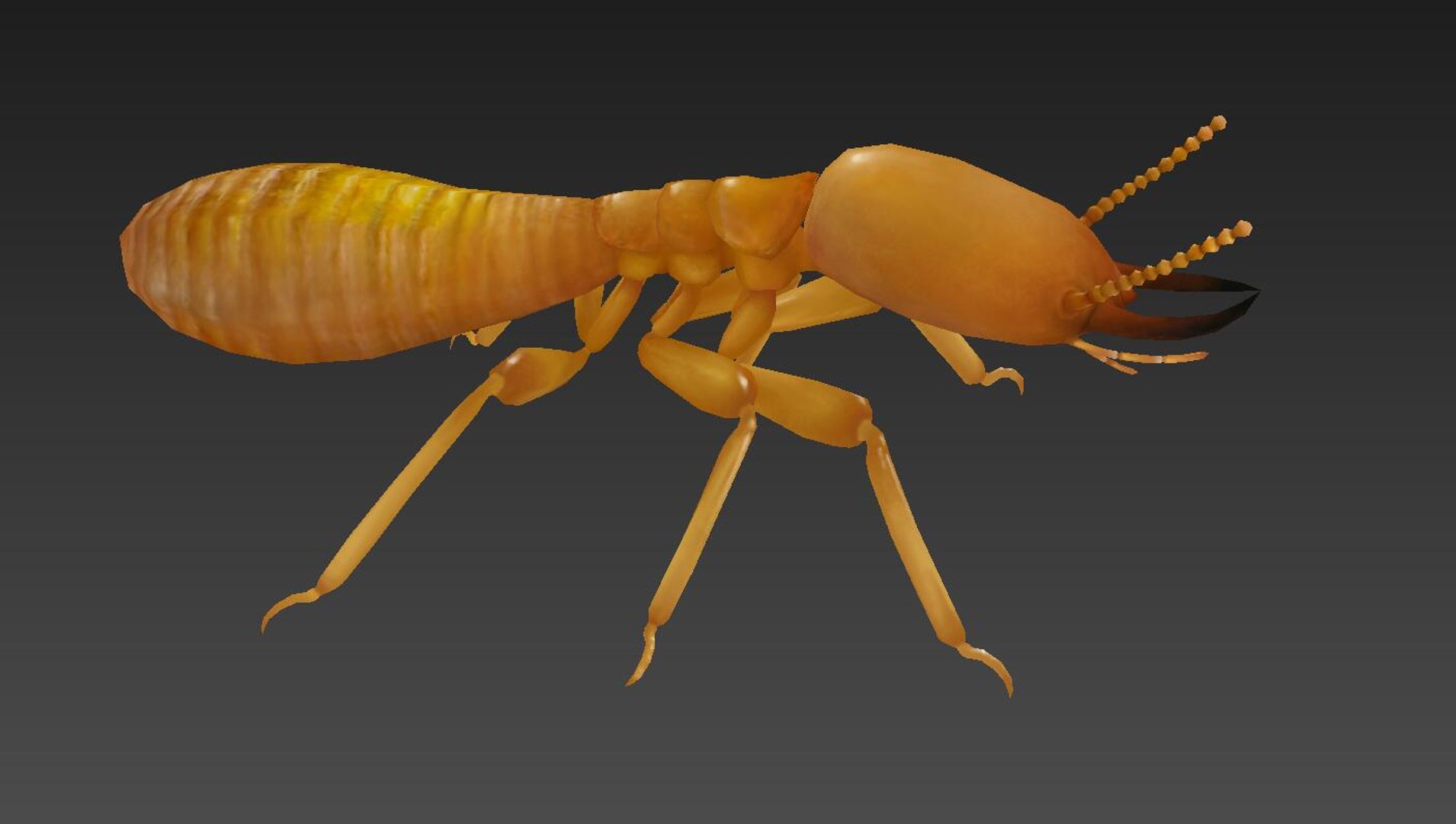 3D Model Termite Insect Bug - TurboSquid 1483009
