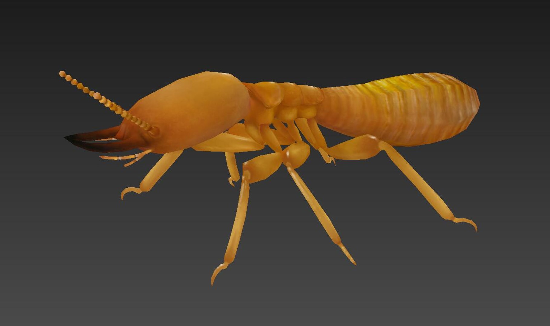3D Model Termite Insect Bug - TurboSquid 1483009