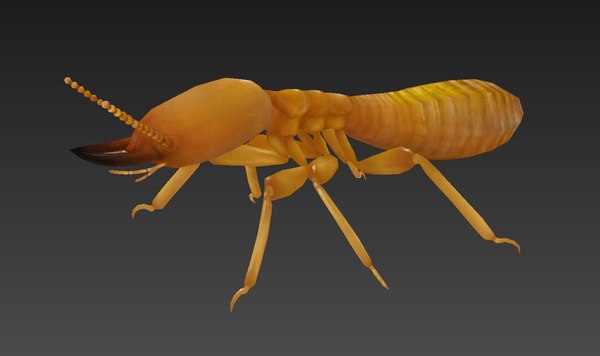 3D Termites Models | TurboSquid