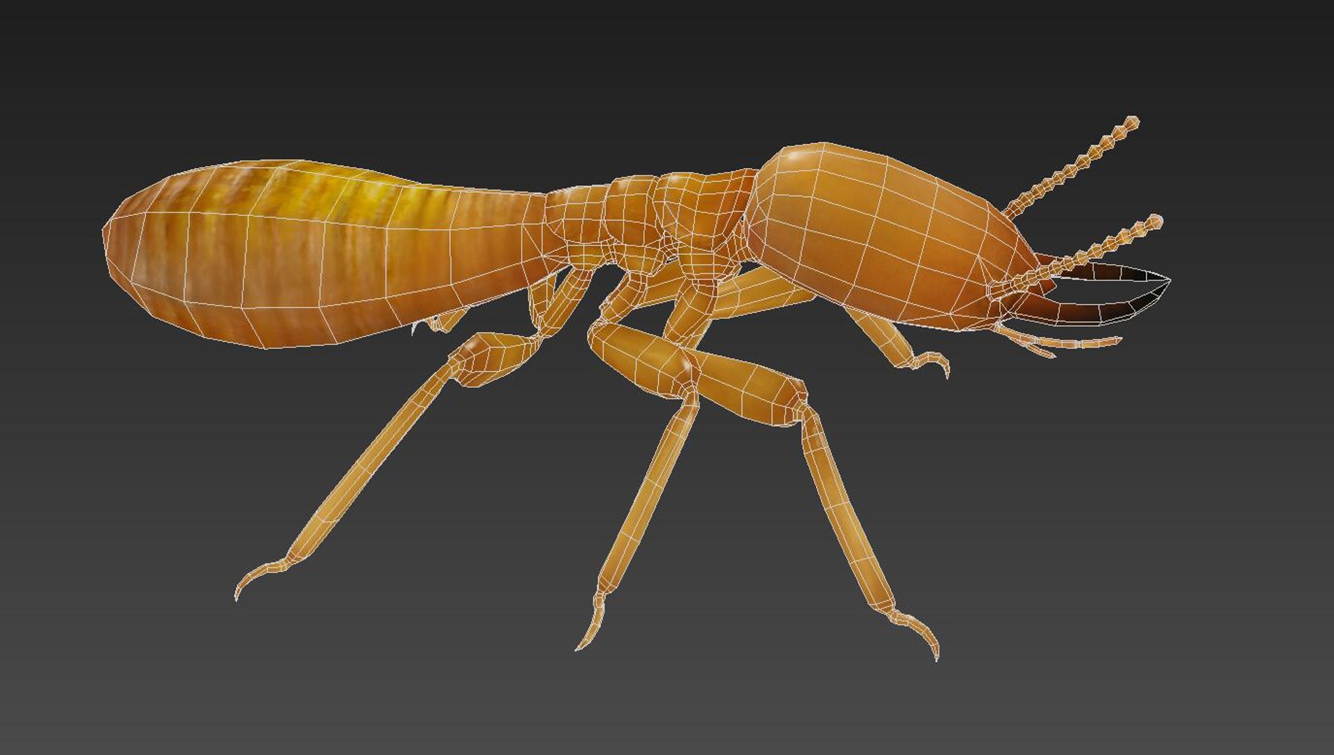 3D Model Termite Insect Bug - TurboSquid 1483009