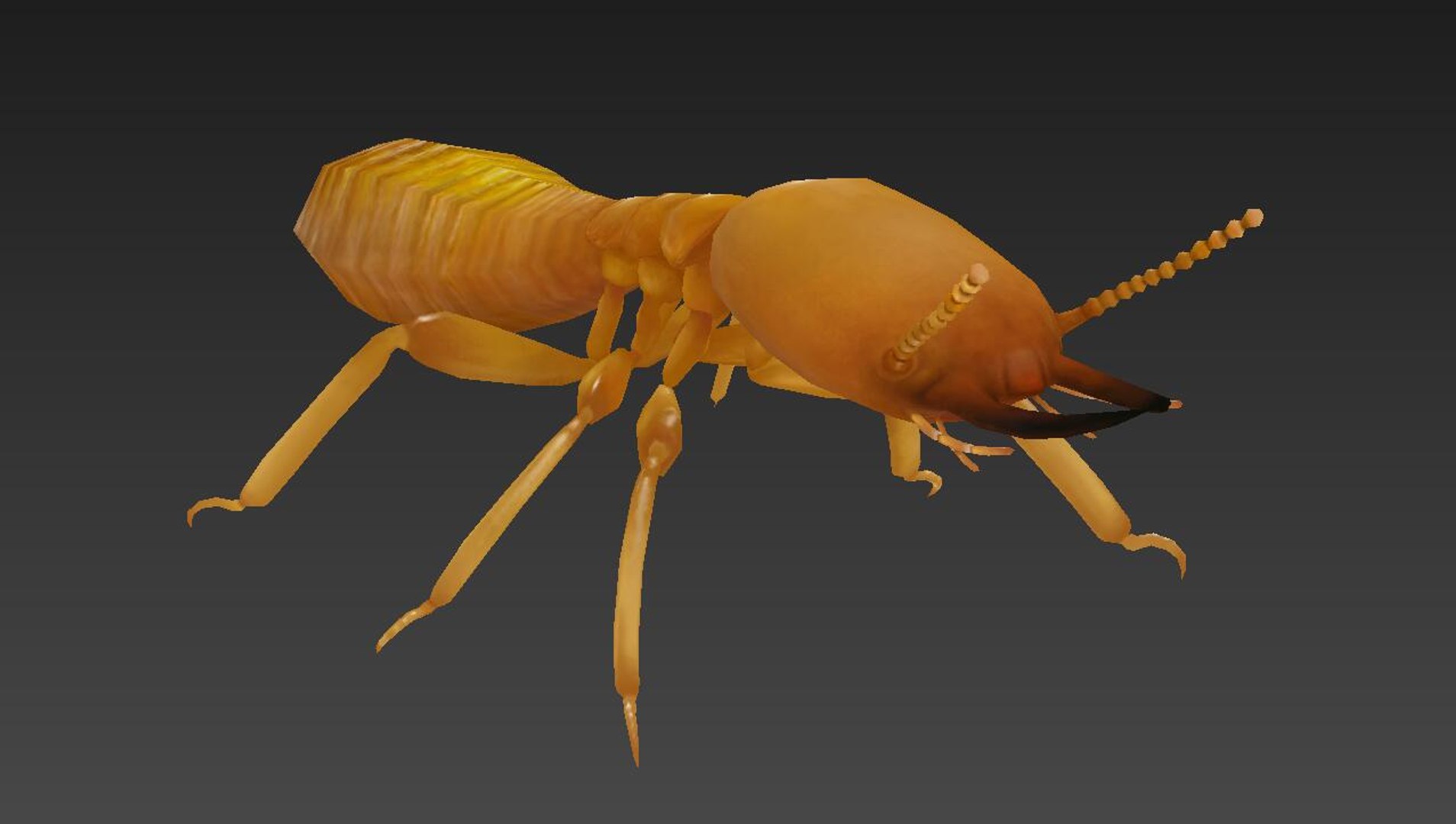 3D Model Termite Insect Bug - TurboSquid 1483009