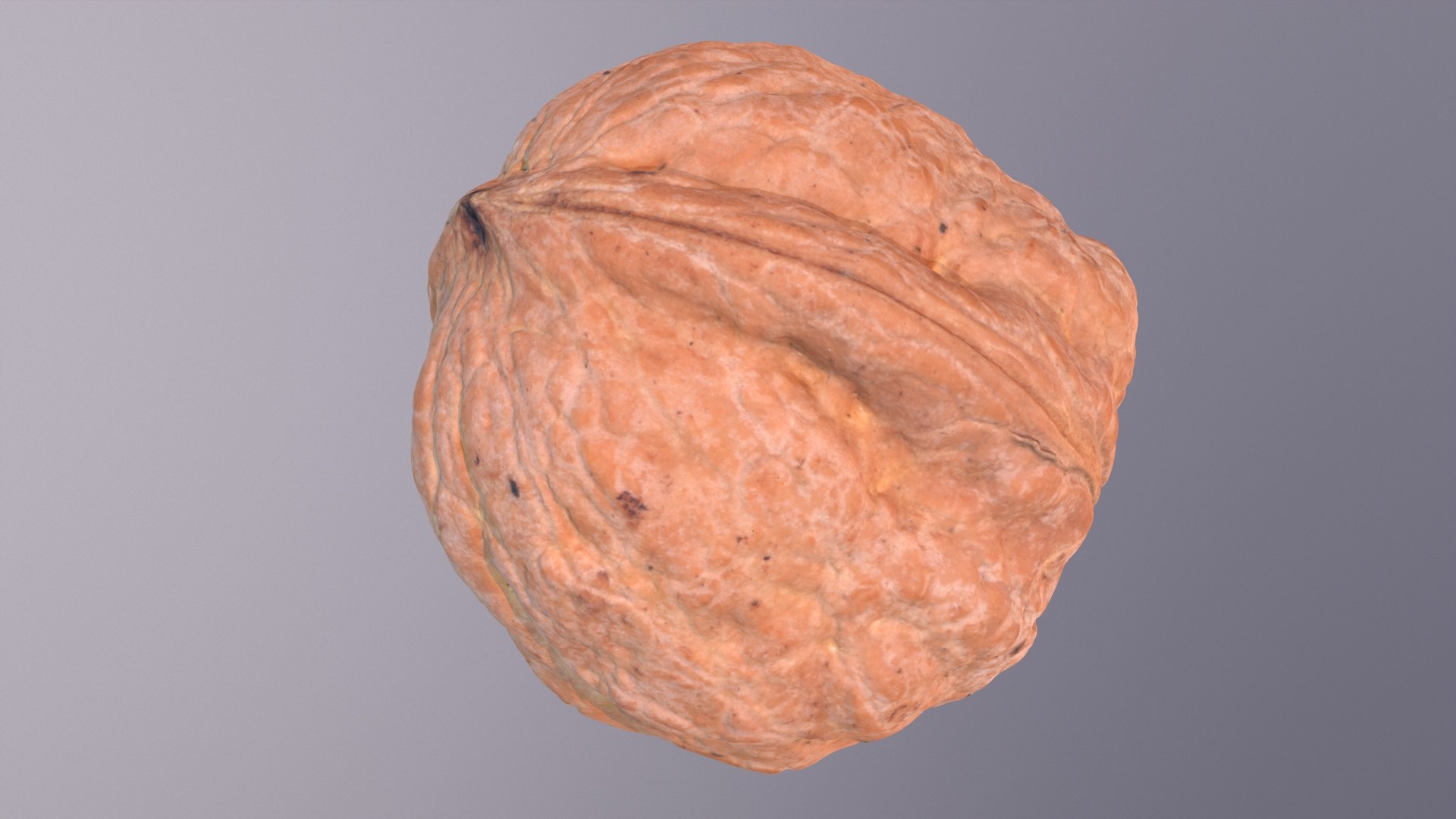 Walnut Fruit 04 High-poly 3D Model 3D Model - TurboSquid 1836999