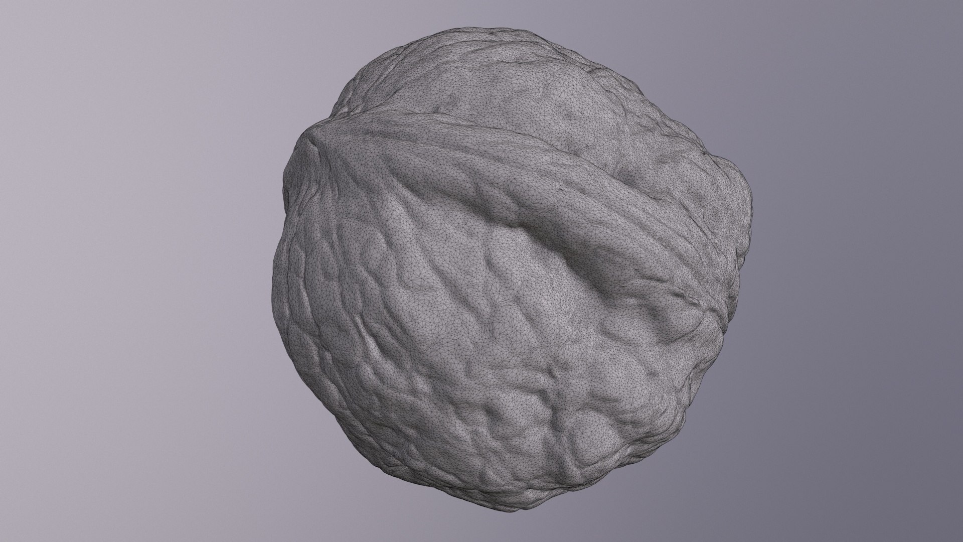 Walnut Fruit 04 High-poly 3D Model 3D Model - TurboSquid 1836999